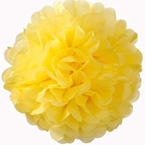 IGUO 30pcs Tissue Pom Poms Party Supplies,Yellow Navy Blue White Silver Birthday Party Decorations Paper Tassel Garland for Bridal Shower Wedding School Ceremony Graduation Theme Party Supplie