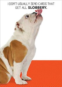 rsvp birthday card bulldog licking : get all slobbery funny/humorous dog,yellow,5" x 7",gc-b3985