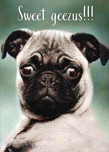 RSVP Pug Sweet Geezus Funny/Humorous Dog Over The Hill Birthday Card,Yellow,5" x 7",GC-B7381