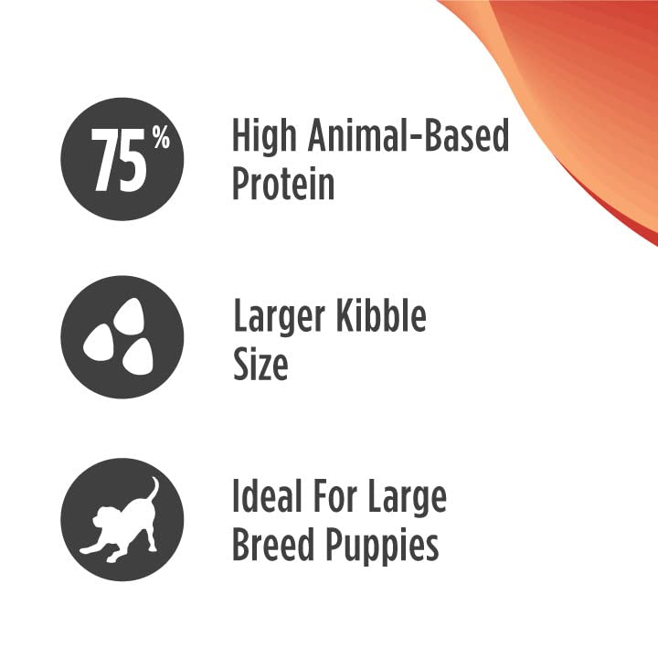 Nulo Freestyle Dry Puppy Food, Premium Grain-Free Larger Kibble to Support Proper Chewing, High Animal-Based Protein and Balanced Levels of Calcium & Phosphorus for Healthy Bone Development