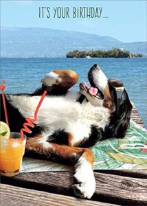 rsvp dog relaxing on dock near lake funny/humorous birthday card,yellow,5" x 7",gc-b4068