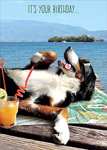 RSVP Dog Relaxing on Dock Near Lake Funny/Humorous Birthday Card,Yellow,5" x 7",GC-B4068