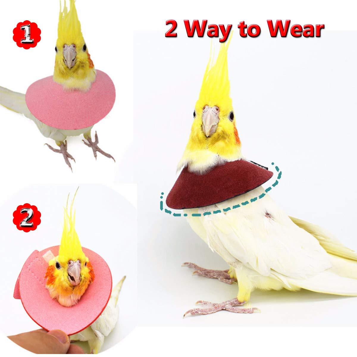 4Pack Pet Parrot Anti-bite Elizabethan Collars, Anti-Grab Feather Plucking Wound Healing Safety Collar, Protective Recovery Cones for Budgerigar Lovebird Agapornis Fischer Cockatiel Cockatoo