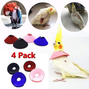 4Pack Pet Parrot Anti-bite Elizabethan Collars, Anti-Grab Feather Plucking Wound Healing Safety Collar, Protective Recovery Cones for Budgerigar Lovebird Agapornis Fischer Cockatiel Cockatoo