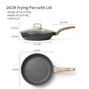 CAROTE Nonstick Frying Pan Skillet,Non Stick Granite Fry Pan with Glass Lid, Egg Pan Omelet Pans, Stone Cookware Chef's Pan, PFOA Free (Classic Granite, 10-Inch)