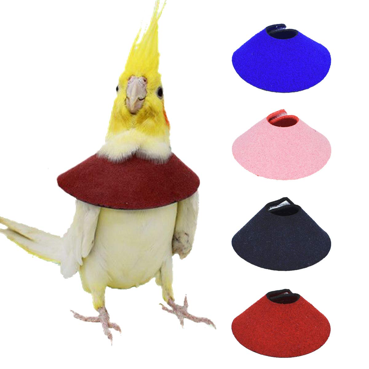 4Pack Pet Parrot Anti-bite Elizabethan Collars, Anti-Grab Feather Plucking Wound Healing Safety Collar, Protective Recovery Cones for Budgerigar Lovebird Agapornis Fischer Cockatiel Cockatoo