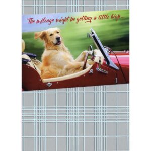 rsvp funny birthday card for him: dog driving red car,blue,5" x 7",gc-b6555s