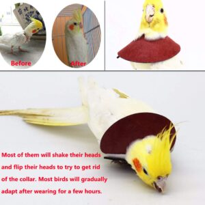 4Pack Pet Parrot Anti-bite Elizabethan Collars, Anti-Grab Feather Plucking Wound Healing Safety Collar, Protective Recovery Cones for Budgerigar Lovebird Agapornis Fischer Cockatiel Cockatoo