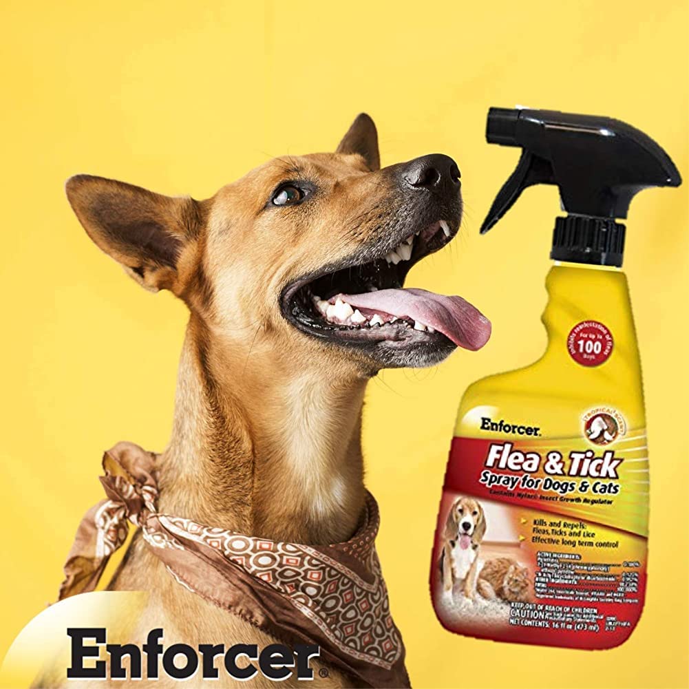 Enforcer Flea & Tick Spray for Dogs & Cats - 16 oz (Case of 6) - EFT166 - Kills and Repels: Fleas, Ticks and Lice