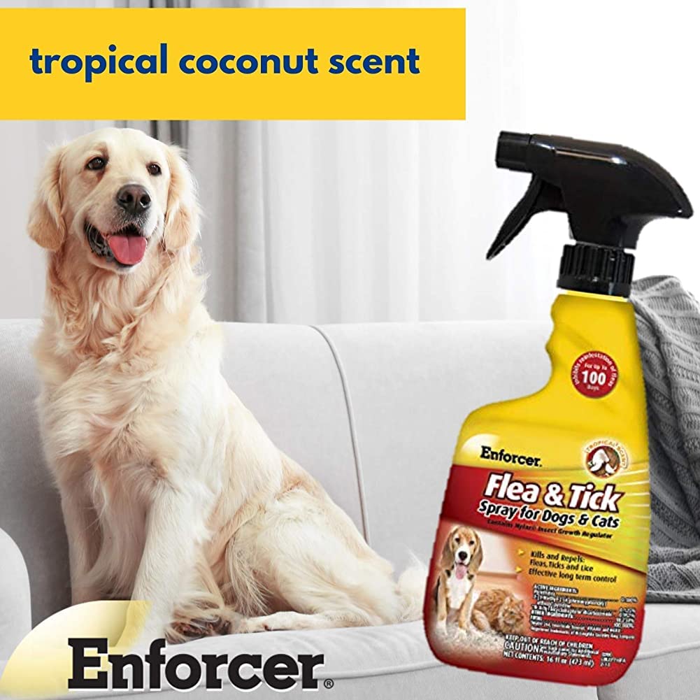 Enforcer Flea & Tick Spray for Dogs & Cats - 16 oz (Case of 6) - EFT166 - Kills and Repels: Fleas, Ticks and Lice