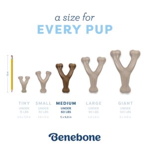 Benebone Puppy Wishbone Durable Dog Chew Toy for Gentle Chewers, Real Bacon, Made in USA, Medium