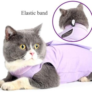 Cat Professional Recovery Suit for Abdominal Wounds and Skin Diseases, E-Collar Alternative for Cats and Dogs, After Surgey Wear Anti Licking, Recommended by Vets（Purple,M