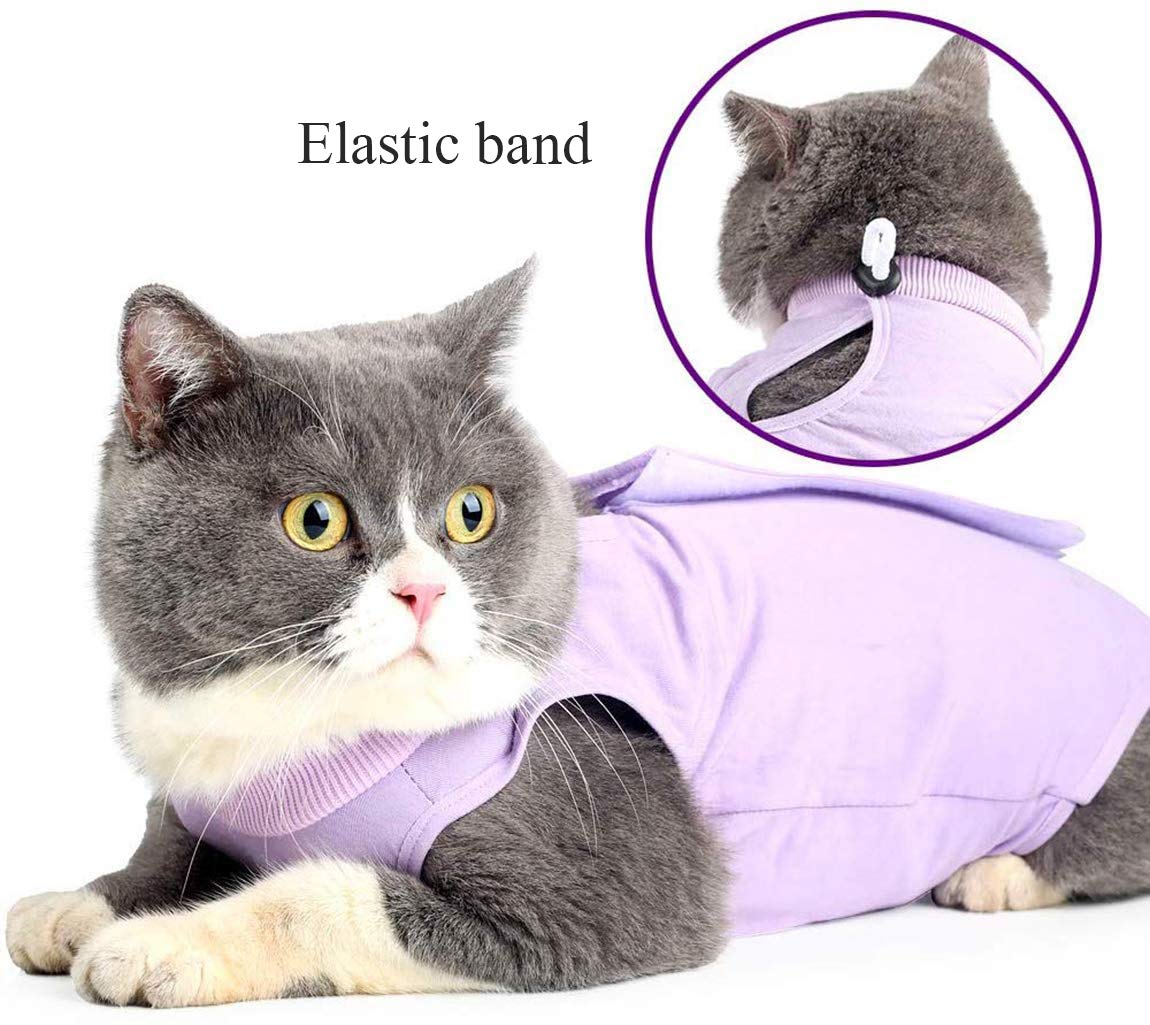 Cat Professional Recovery Suit for Abdominal Wounds and Skin Diseases, E-Collar Alternative for Cats and Dogs, After Surgey Wear Anti Licking, Recommended by Vets（Purple,M