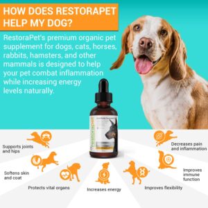 RestoraPet 2-Pack Dog & Cat Unflavored Liquid Multivitamin | Dog Arthritis Pain Relief | Hip&Joint Vitamins for Dogs | Anti Inflammatory Supplement for Dogs & Cats | Organic & Non-GMO, Vet Approved