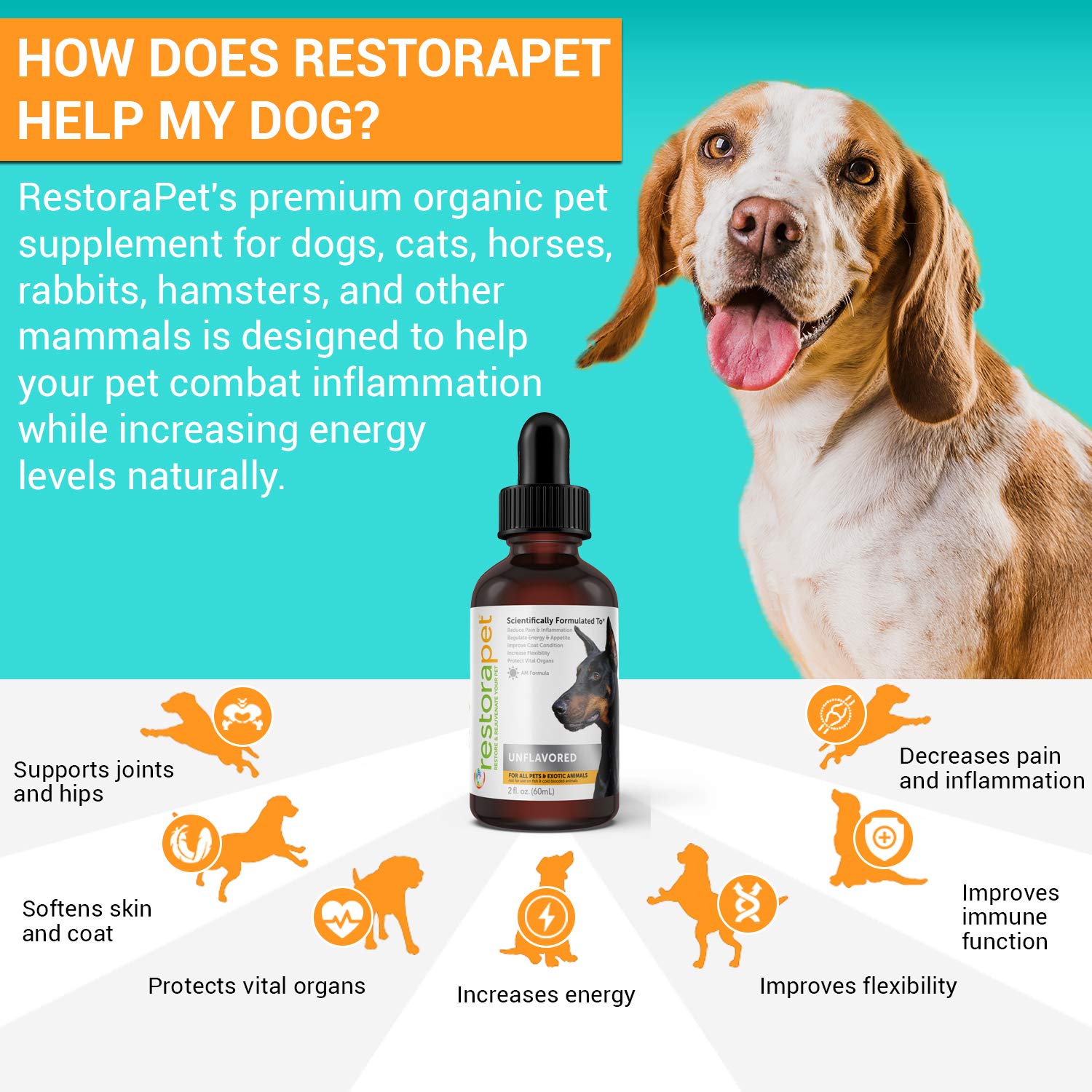 RestoraPet 2-Pack Dog & Cat Unflavored Liquid Multivitamin | Dog Arthritis Pain Relief | Hip&Joint Vitamins for Dogs | Anti Inflammatory Supplement for Dogs & Cats | Organic & Non-GMO, Vet Approved