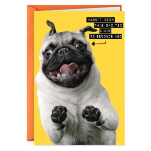 hallmark shoebox funny birthday card (excited pug)