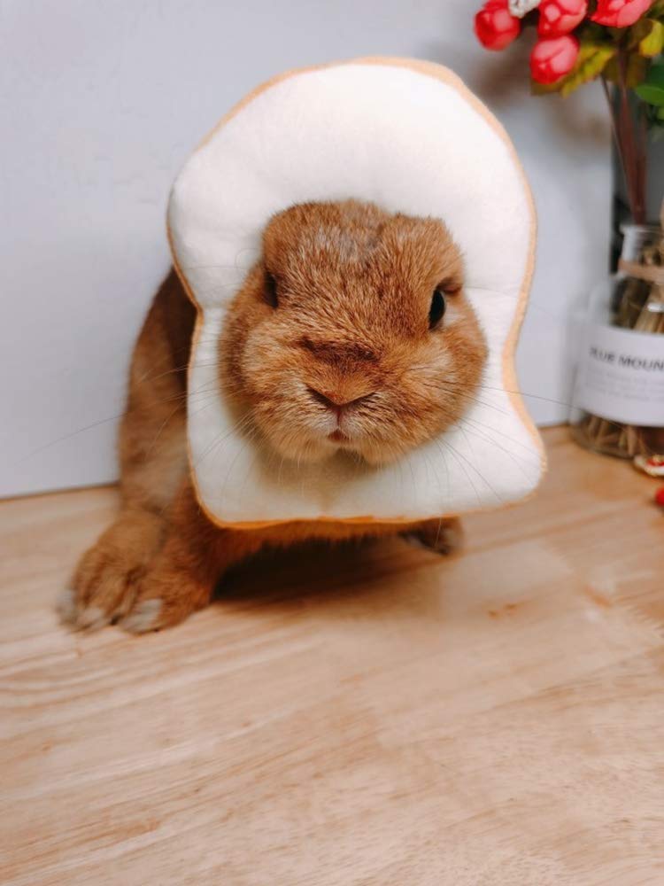 Rabbit Collar Bread Slice Collar Toast Bread-Shaped Rabbit Headdress, Pet Halloween Gift Cosplay Makeup Cap, Bunny Cartoon Costume, Dressing Up Props, Small Animal Headgear (8''- 9'' head girth)