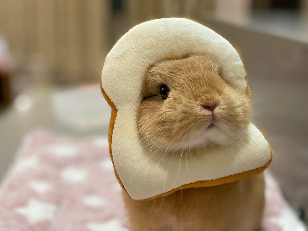 Rabbit Collar Bread Slice Collar Toast Bread-Shaped Rabbit Headdress, Pet Halloween Gift Cosplay Makeup Cap, Bunny Cartoon Costume, Dressing Up Props, Small Animal Headgear (8''- 9'' head girth)