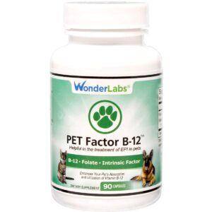 wonder laboratories pet factor b-12 | vitamin b-12 in methylcobalamin form | popular in treatment of epi in dogs. 90 count