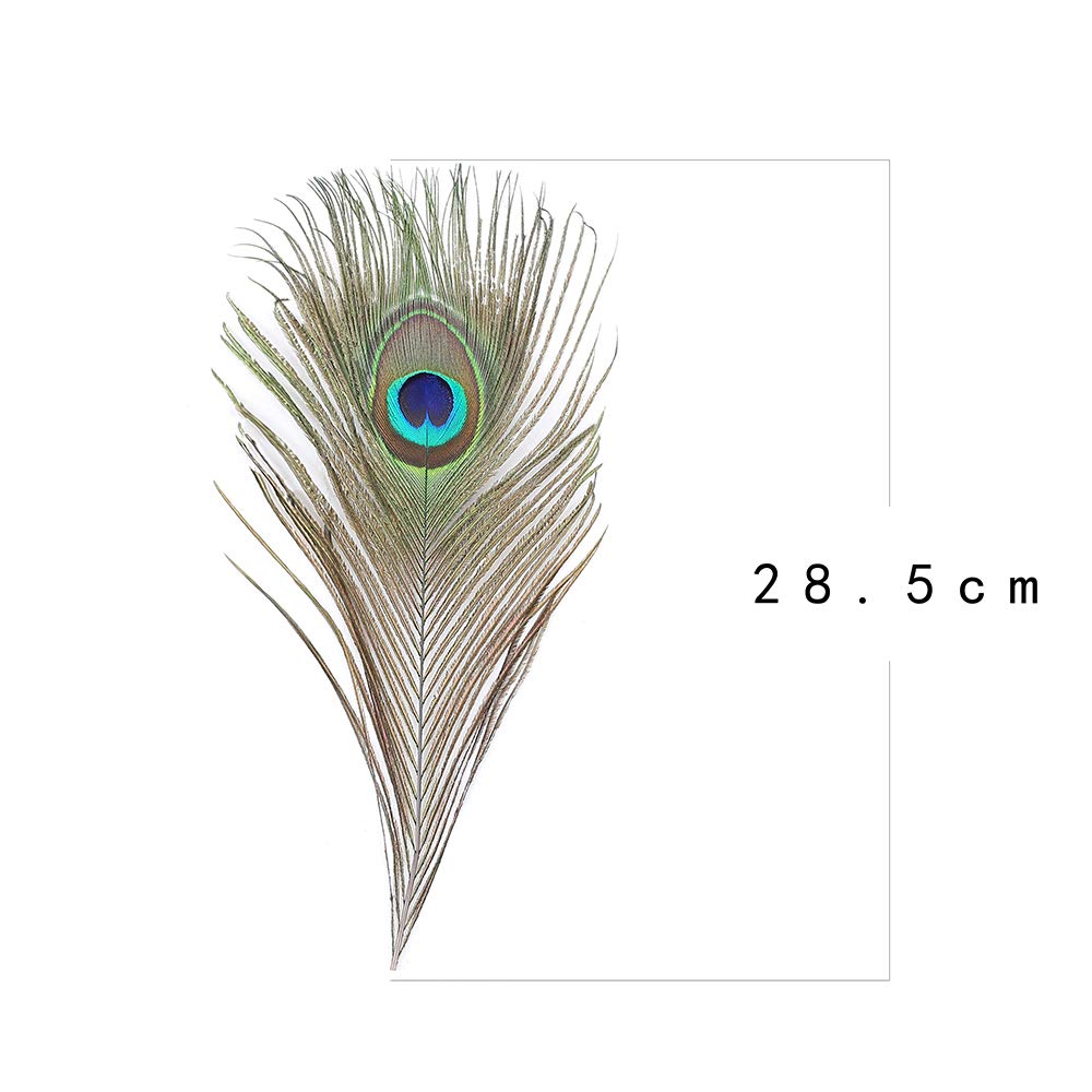 12 PCS Real Natural Peacock Eye Feathers 10-12 inch for DIY Craft, Wedding and Holiday Decorations