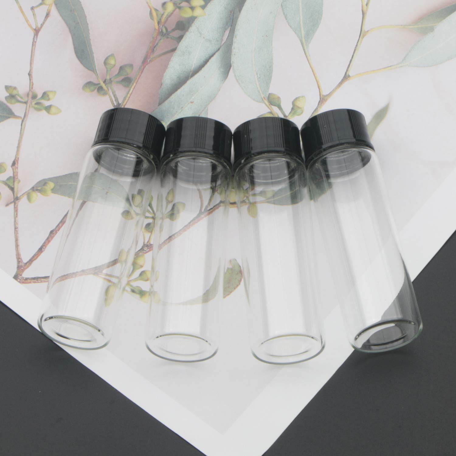 Kesell 15ml Transparent Glass Sample Bottle Small Glass Sample Bottle with Scew Cap and Liquid Bottle，Pack of 8