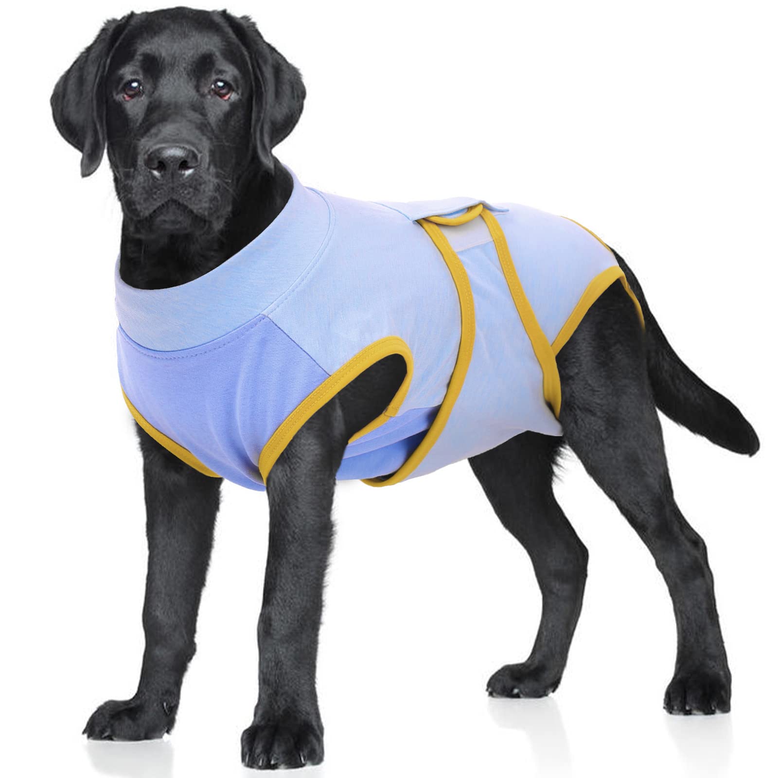 ROZKITCH Dog Surgery Recovery Suit, Onesie Breathable Abdominal Wound Skin Problems, Puppy Cone Collar Alternative, Anti Licking Professional Surgical Recovery Costume After Spay, No Harassment