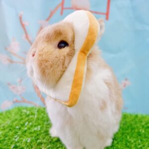 Rabbit Collar Bread Slice Collar Toast Bread-Shaped Rabbit Headdress, Pet Halloween Gift Cosplay Makeup Cap, Bunny Cartoon Costume, Dressing Up Props, Small Animal Headgear (8''- 9'' head girth)