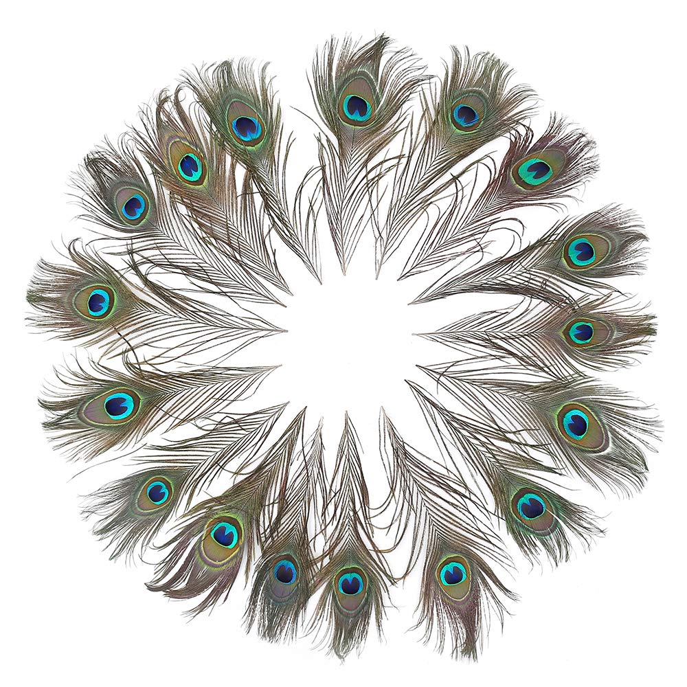 12 PCS Real Natural Peacock Eye Feathers 10-12 inch for DIY Craft, Wedding and Holiday Decorations