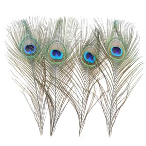 12 PCS Real Natural Peacock Eye Feathers 10-12 inch for DIY Craft, Wedding and Holiday Decorations