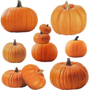 35 pieces pumpkin cutouts pumpkin shape cutouts for fall celebrations halloween thanksgiving day party supply, 7 designs