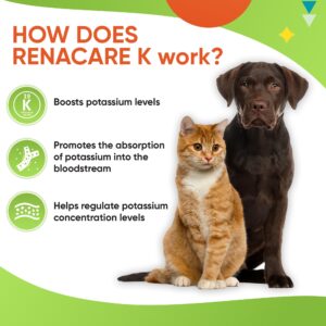 RenaCare K is for Renal K (Potassium Gluconate) Potassium Supplement Powder for Dogs and Cats, (4 oz) with Chicken Liver Flavor - 215 Level Scoop (Made is U.S.A)