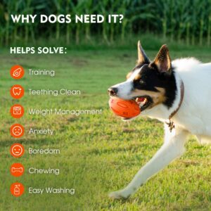 Apasiri Dog Squeaky Toys for Aggressive Chewers Almost Indestructible, Dog Squeaking Interactive Toys Tough Dog Chew Toys Ball for Medium and Large Breed, Natural Rubber Pet Toys Orange