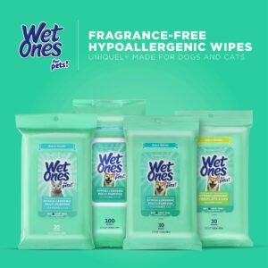 Wet Ones for Pets Hypoallergenic Multi-Purpose Dog Wipes with Vitamins A, C & E | No Fragrance Hypoallergenic Dog Wipes for All Dogs Wipes Multipurpose | 100 Count Pouch Dog Wipes