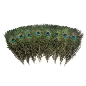 12 PCS Real Natural Peacock Eye Feathers 10-12 inch for DIY Craft, Wedding and Holiday Decorations