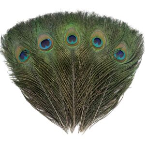 12 pcs real natural peacock eye feathers 10-12 inch for diy craft, wedding and holiday decorations