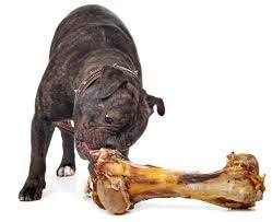 EcoKind Premium Giant Mastedon Femur Bone for Dogs | 1 Giant Bone | All Natural Femur Bone for Large Dogs and Aggressive Chewers