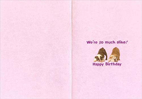 Designer Greetings Cute, Sweet, Loveable, Intelligent, Smart Bulldog Funny : Humorous Dog Birthday Card