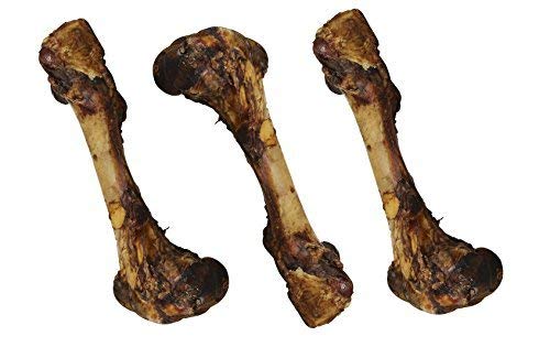 EcoKind Premium Giant Mastedon Femur Bone for Dogs | 1 Giant Bone | All Natural Femur Bone for Large Dogs and Aggressive Chewers