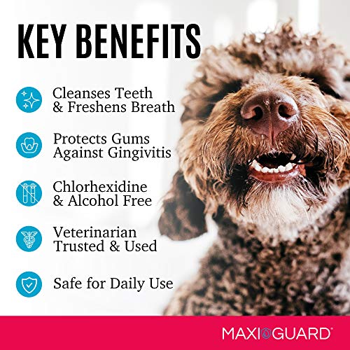 Maxi-Guard Dental Cleaning Gel for Dogs, Cats, Horses, Exotics and Companion Animals (4oz), Light Blue/White