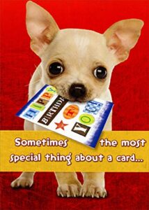 designer greetings chihuahua holding card in mouth cute : sentimental dog birthday card