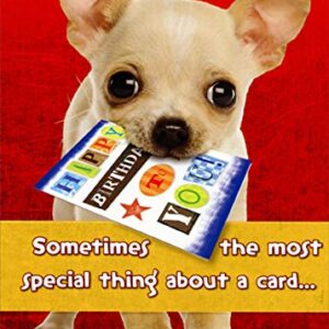 Designer Greetings Chihuahua Holding Card in Mouth Cute : Sentimental Dog Birthday Card