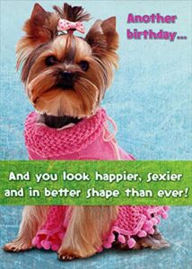 designer greetings yorkshire terrier : happier, sexier, better shape funny : humorous dog risque feminie birthday card for her : woman : women