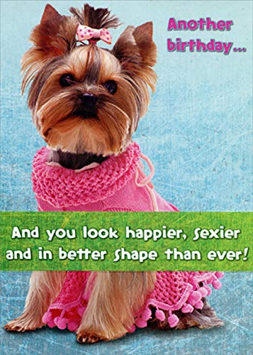 Designer Greetings Yorkshire Terrier : Happier, Sexier, Better Shape Funny : Humorous Dog Risque Feminie Birthday Card for Her : Woman : Women