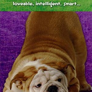 Designer Greetings Cute, Sweet, Loveable, Intelligent, Smart Bulldog Funny : Humorous Dog Birthday Card