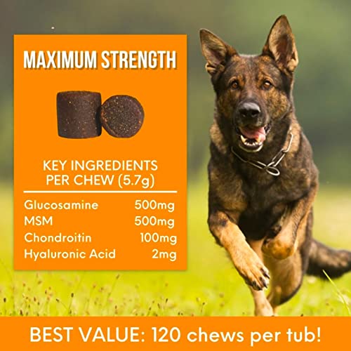 Nootie Maximum Strength Hip & Joint Soft Chews for Dogs - 120 Count