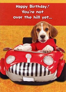 designer greetings beagle in red stuffed toy car funny : humorous dog over the hill birthday card for him : man : men