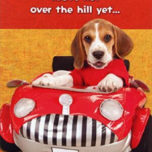 Designer Greetings Beagle in Red Stuffed Toy Car Funny : Humorous Dog Over The Hill Birthday Card for Him : Man : Men