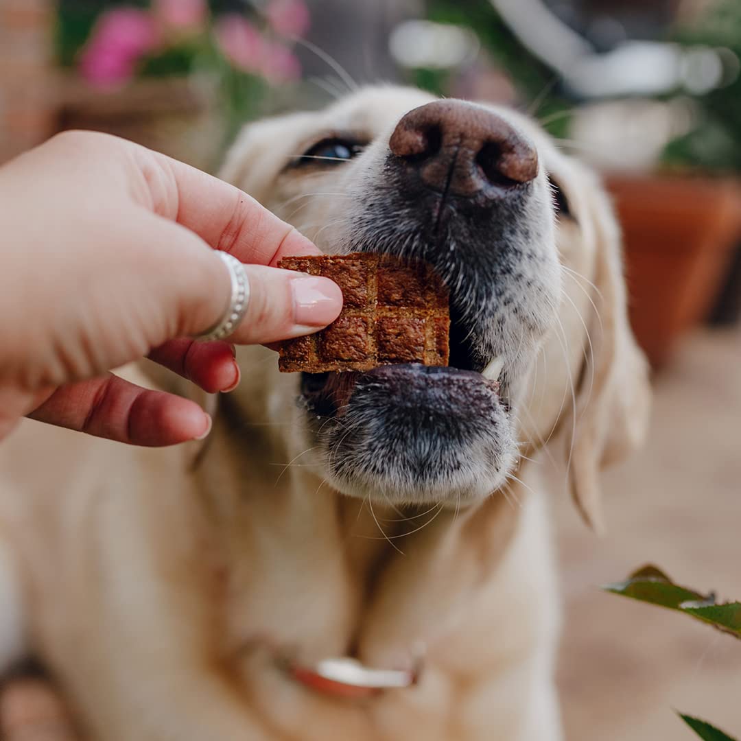 Shameless Pets Dog Jerky Treats - Duck Jerky for Dogs Made with Upcycled Ingredients & Zero Artificial Flavors, Supports Healthy Digestion - Duck-Tato, Pack of 2