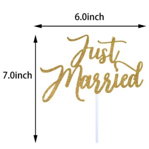 Just Married Cake Topper - Little Backyard Wedding & Bridal Shower/Engagement Party Decoration, Gold Glitter Paper