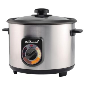 Brentwood TS-1020S 10-Cup Uncooked/20-Cup Cooked Crunchy Persian Rice Cooker, Stainless Steel [TS-1020S]